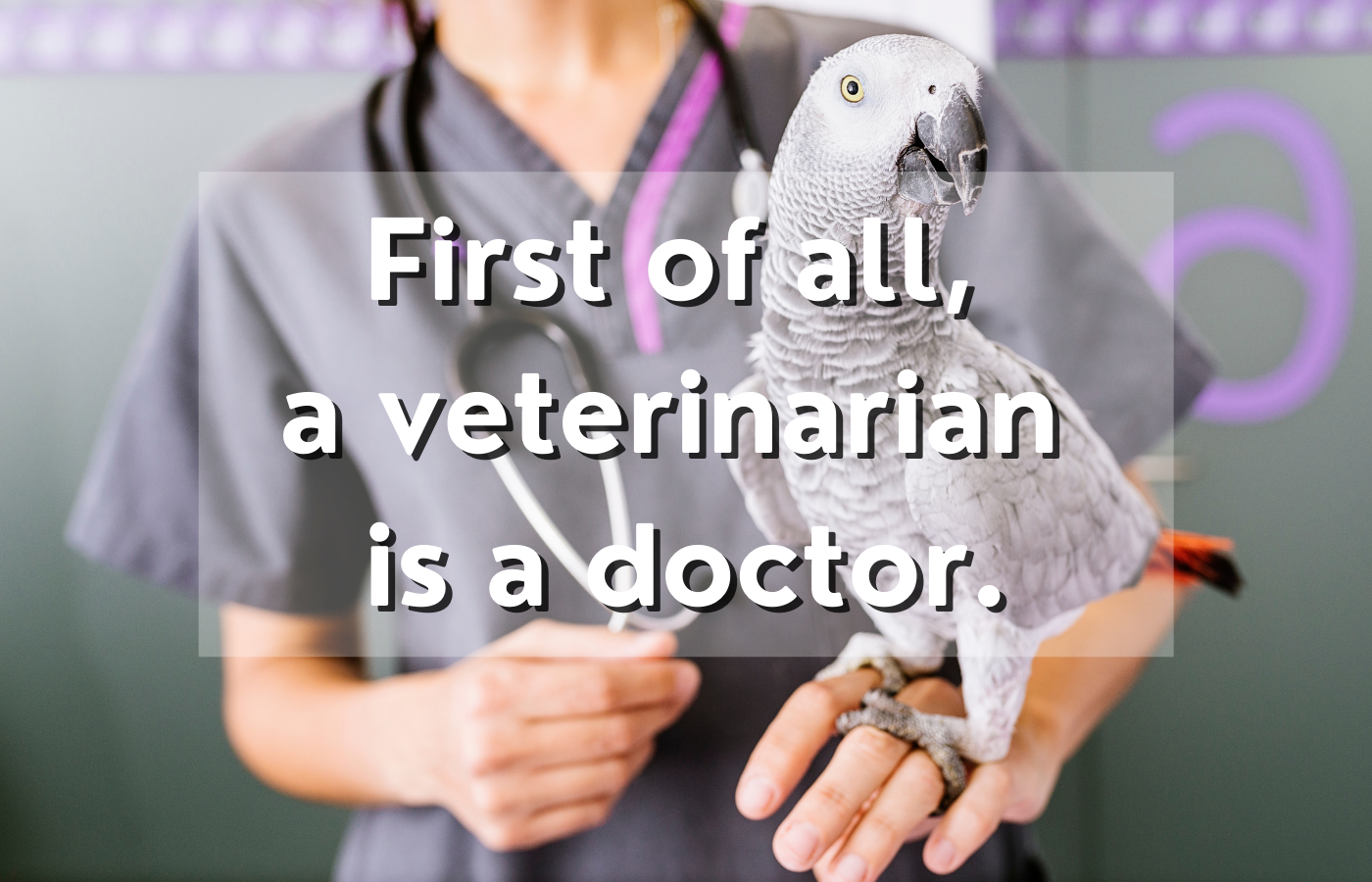 Should I Be A Vet? | 5 Questions You Must Answer Before Picking a Major