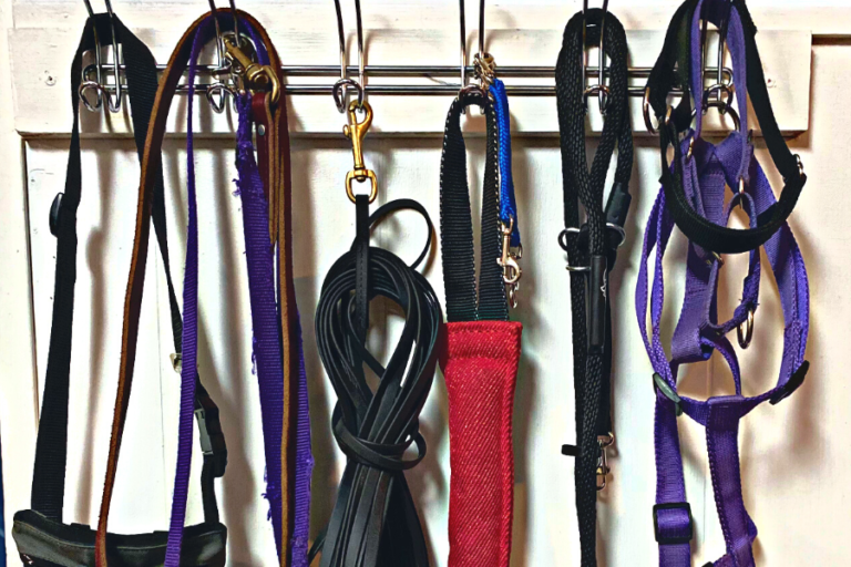 Dog Training Essentials | 17 Tools to Improve Your Dog’s Behavior