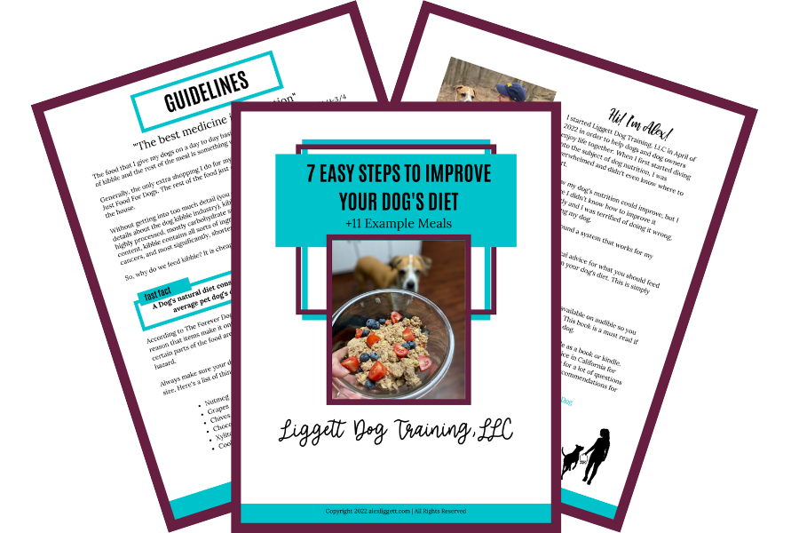 Raw Feeding Dog Guide | 7 Easy Steps to Improve Your Dog’s Diet