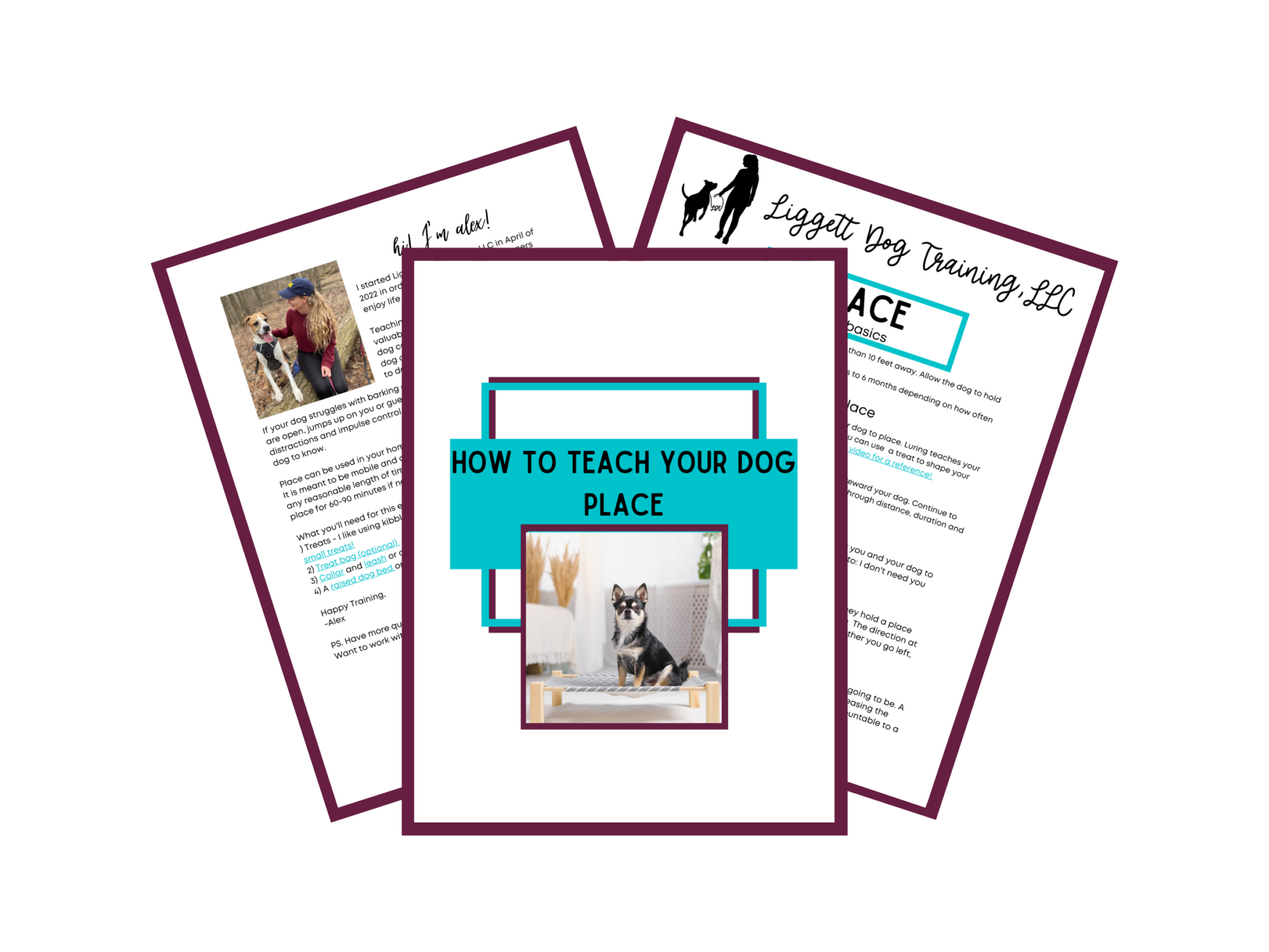 Prevent Jumping Up | My Dog Gets Overly Excited When Guests Come Over