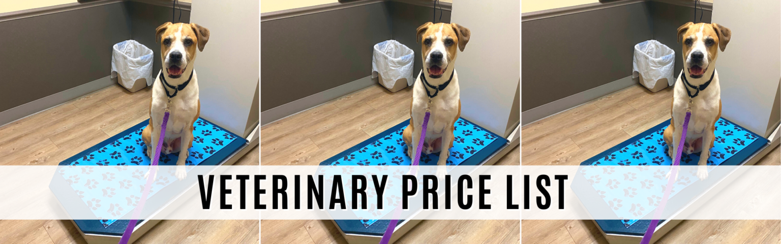 Veterinary Price List | How to Save Money at the Vet