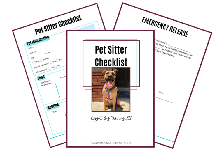 Pet Sitting Instructions Template w/ Medical Release