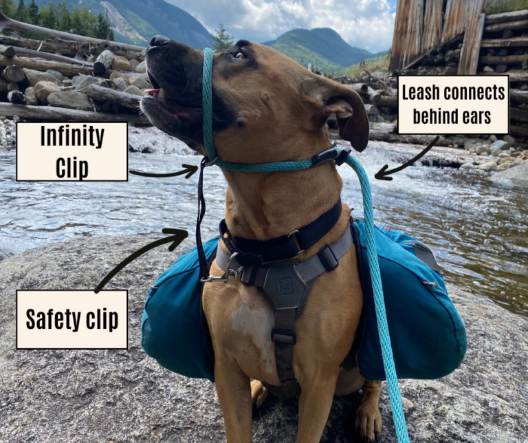 4 Things We Love About the Heather’s Heroes Sidekick Leash