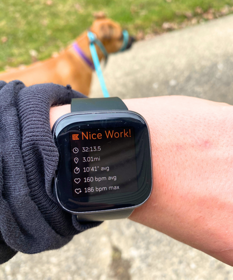 18 Simple DIY Dog Enrichment Ideas Your Dog Will Love