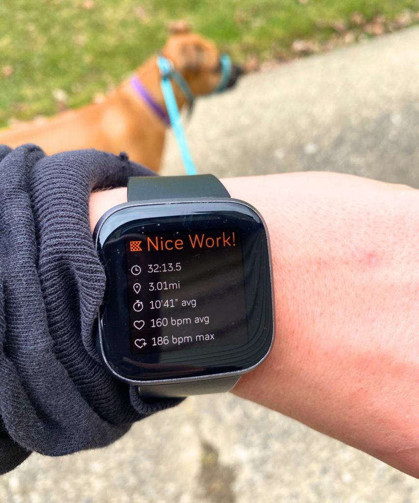 18 Simple DIY Dog Enrichment Ideas Your Dog Will Love