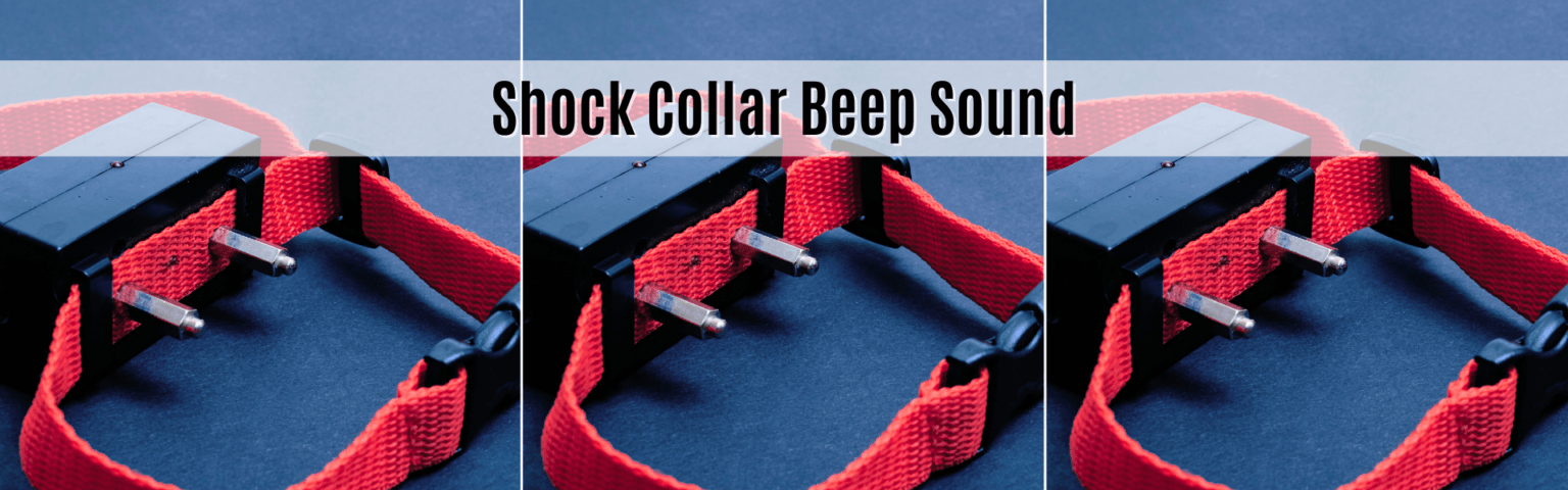 How the Shock Collar Beep Sound is Actually Undermining Your Dog Training