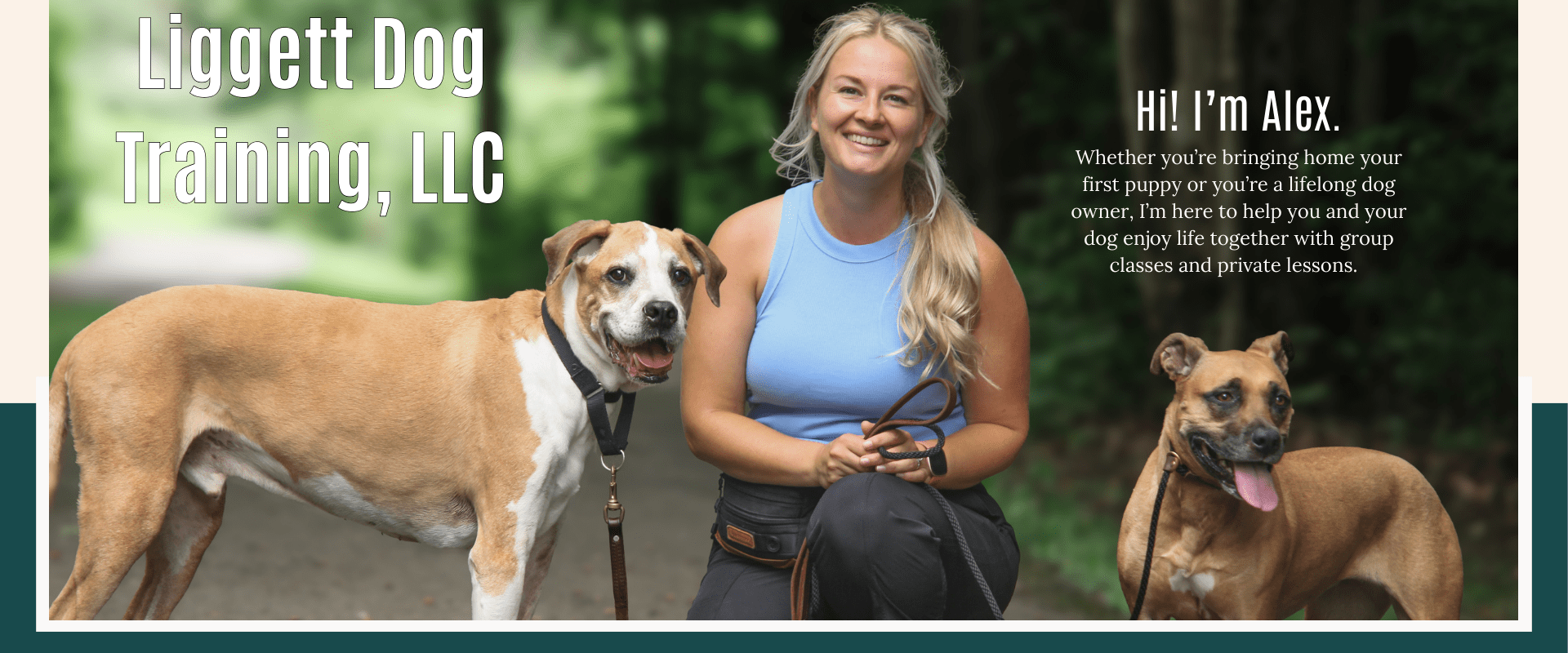 53 Recall Words for Dogs That Aren’t “Come”